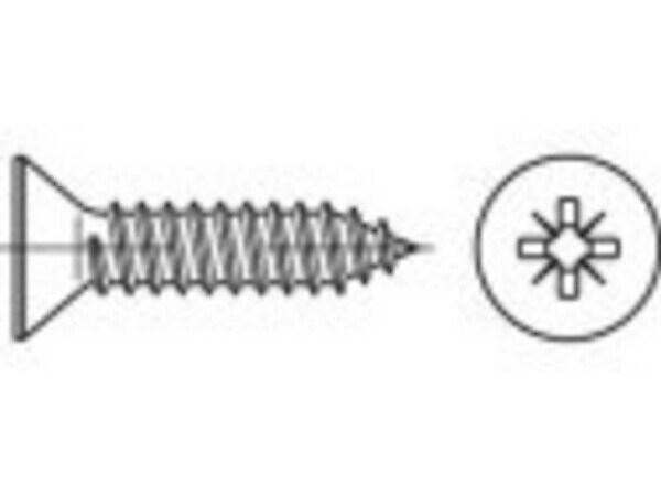 Toolcraft TO-5433099 Försänkta plåtskruvar 50 mm Stjärnskruvmejsel ...